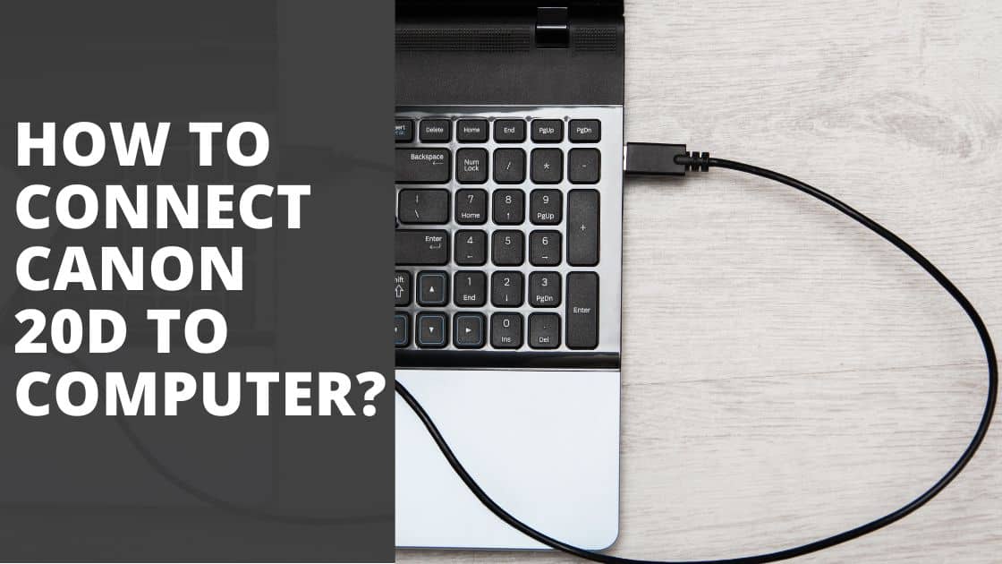 How Do I connect Cannon 20D to My Computer | Teknowif