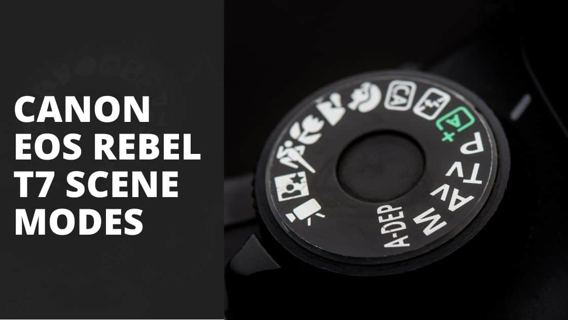 Canon T7 Scene Modes Guide: 6 Essential Photography Settings