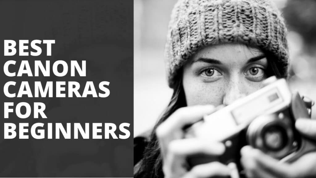 10 Best Canon Cameras for Beginners - TechnoWifi