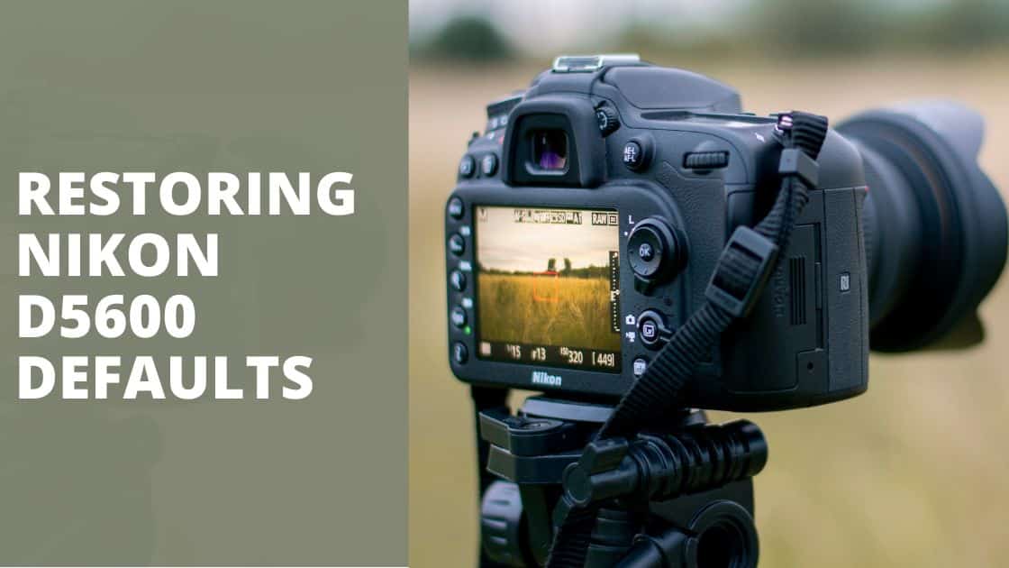 How to Restore the Nikon D5600 Default Settings? - TechnoWifi