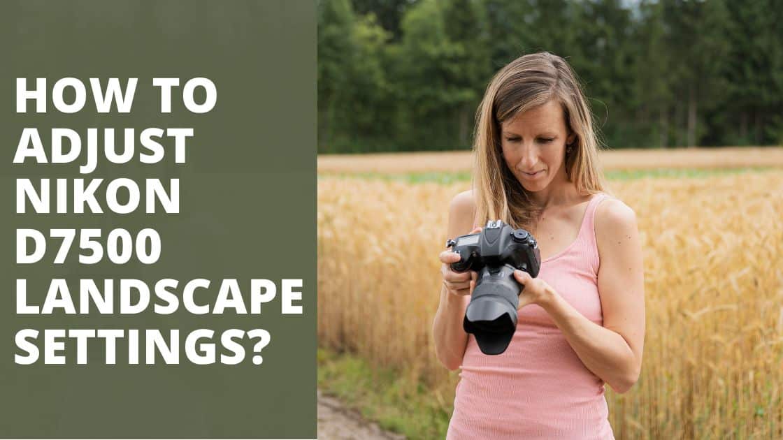 How to adjust Nikon D7500 landscape settings - TechnoWifi