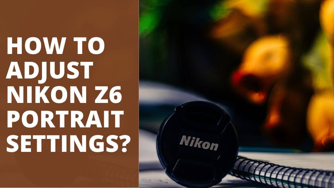 How to Adjust Nikon Z6 Portrait Settings - TechnoWifi