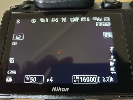 How to Adjust Nikon Z6 Portrait Settings - TechnoWifi