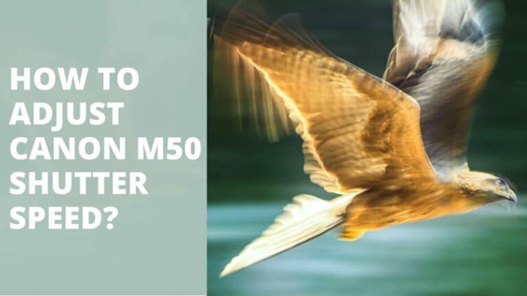 How to Adjust Canon M50 Shutter Speed - TechnoWifi