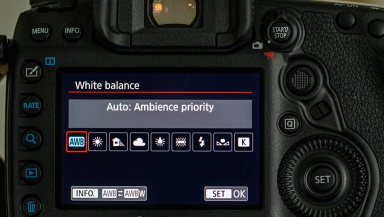 How to Adjust Canon 90D Portrait Photography Settings? - TechnoWifi