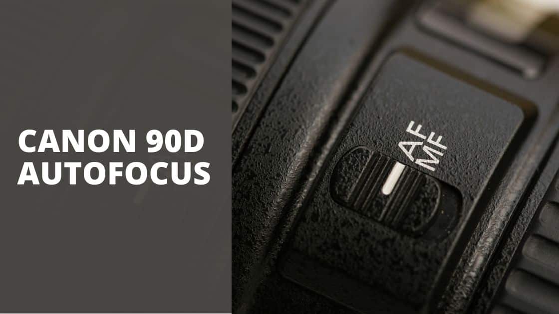 Mastering Canon 90d Autofocus for Sharp and Detailed Images - TechnoWifi