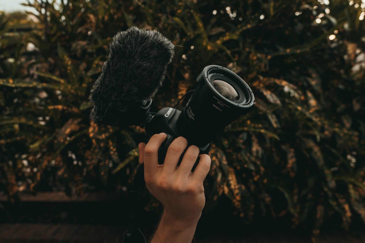 Choosing the Right Microphone for Your Canon Camera - TechnoWifi