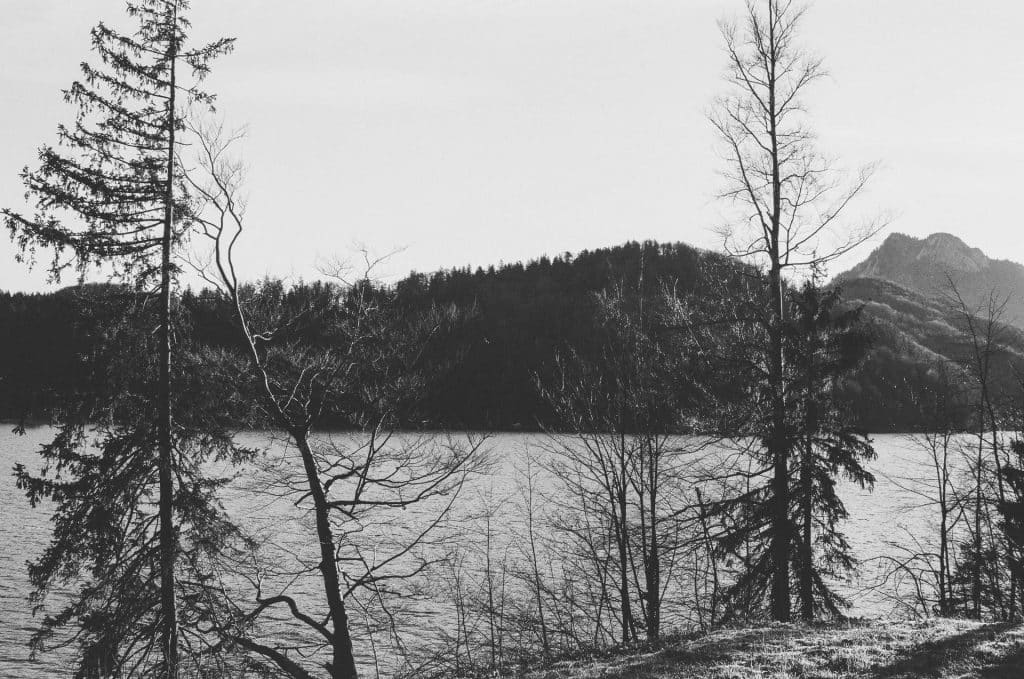 A Brief History of Landscape Photography - TechnoWifi
