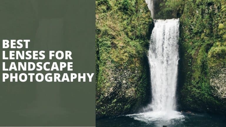 5 Best Lenses For Landscape Photography - TechnoWifi