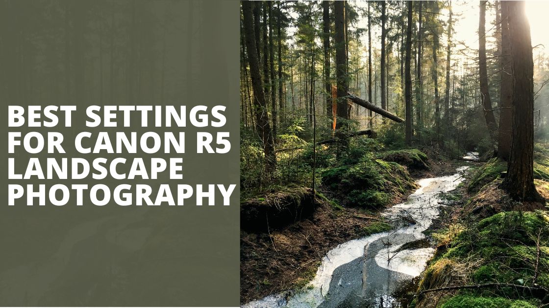 Best Settings For Canon R5 Landscape Photography - TechnoWifi