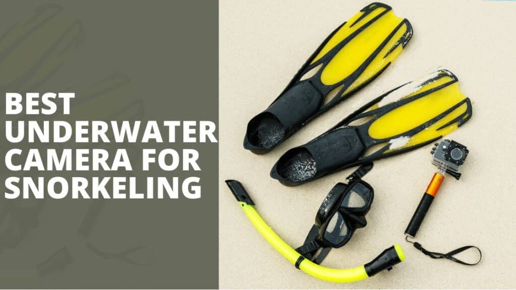 5 Best Underwater Camera For Snorkeling - TechnoWifi