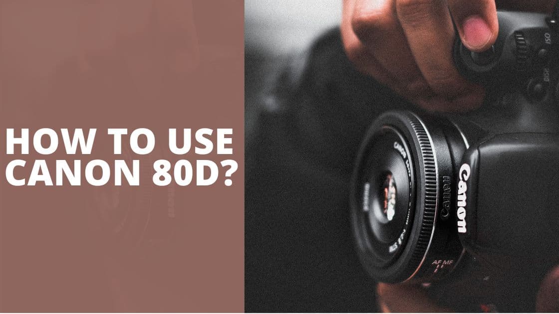 Mastering the Canon 80D: A Comprehensive How to Use Guide - TechnoWifi