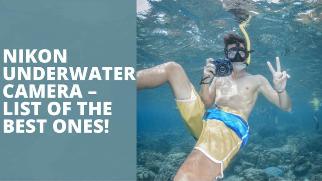 Underwater Photography: Essential Tips and Gear - TechnoWifi