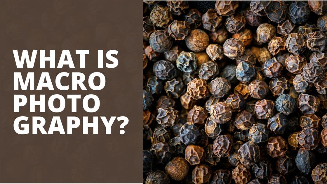 What Is Macro Photography? Capture Stunning Close-Ups